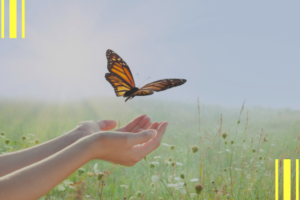 Django/Pythonで「ユーザー登録・ログイン・ログアウト」の機能を実装する方法！ – CalcPage｜設計・技術